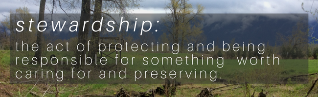 Stewardship Inspirational Quotes