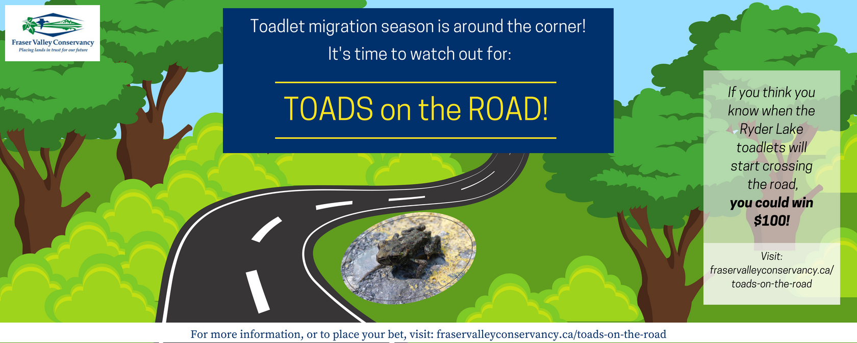 Do you see Toads on the Road? You Could Win $100! | Fraser Valley ...