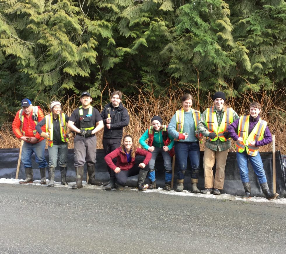 The Western Toad Migration | Fraser Valley Conservancy