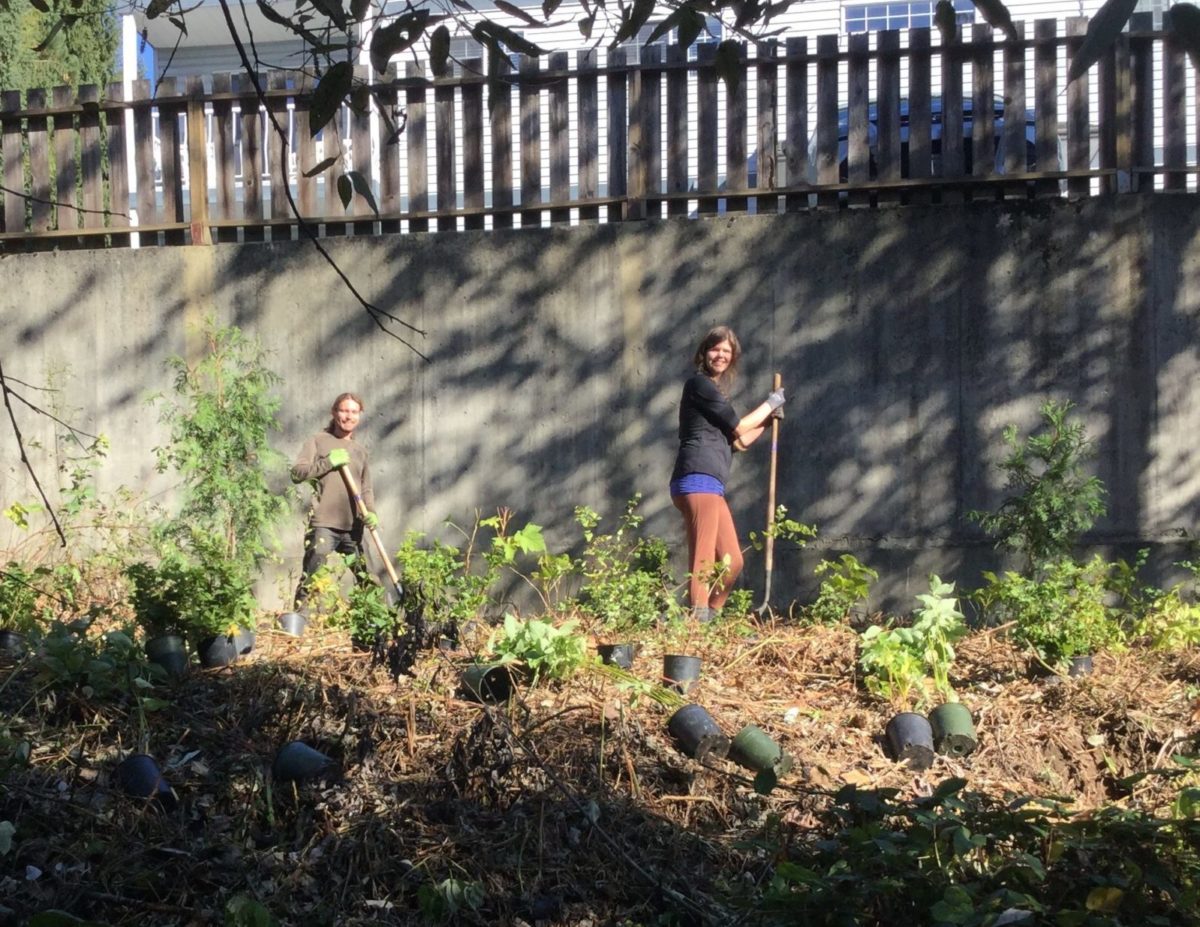 Windebank Creek | Conservancy Program | Fraser Valley Conservancy
