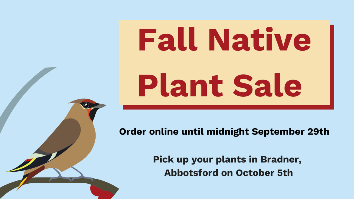 Fall Native Plant Sale 2024 | Fraser Valley Conservancy