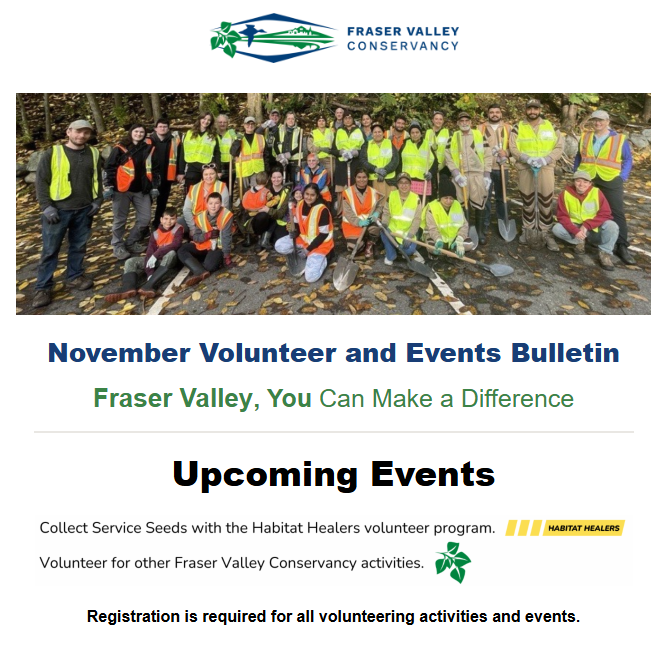 Volunteer & Events Bulletin - November 2024 | Fraser Valley Conservancy
