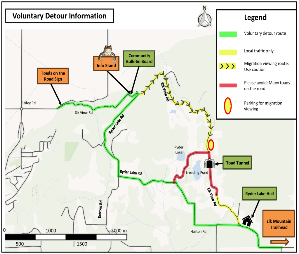 The Western Toad Migration | Fraser Valley Conservancy